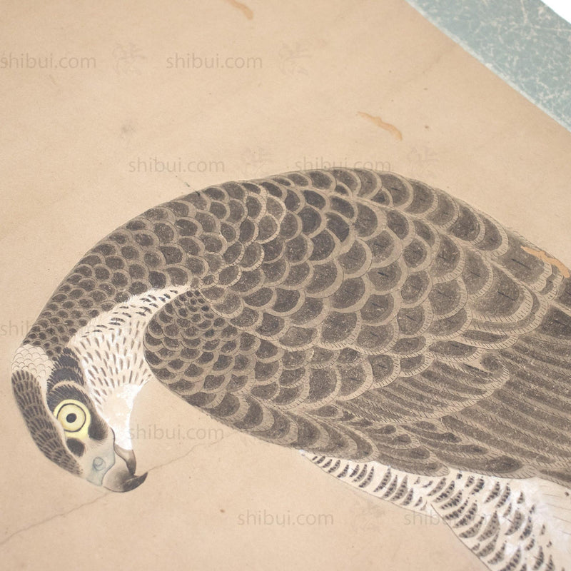 Antique Japanese Hunting Hawk Scroll – Shibui Japanese Antiques & Furniture