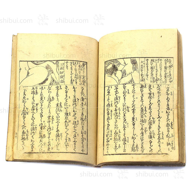 Wood block Printed Shunga Book with Fox – Shibui Japanese Antiques ...
